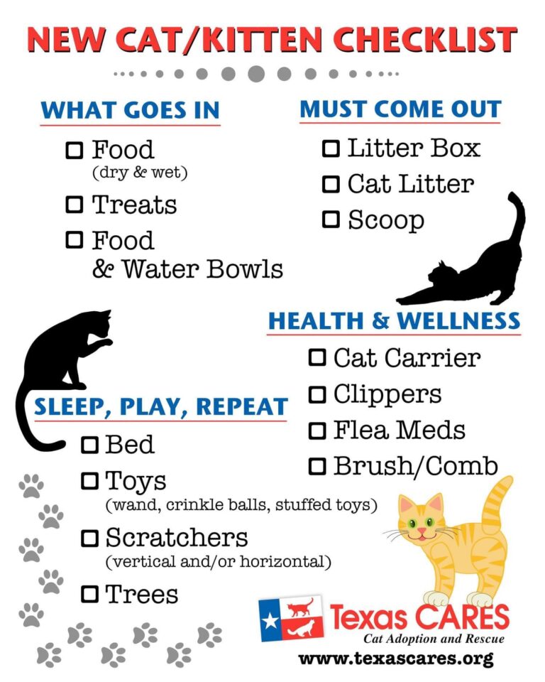 New Cat & Kitten Checklist – The Kittery